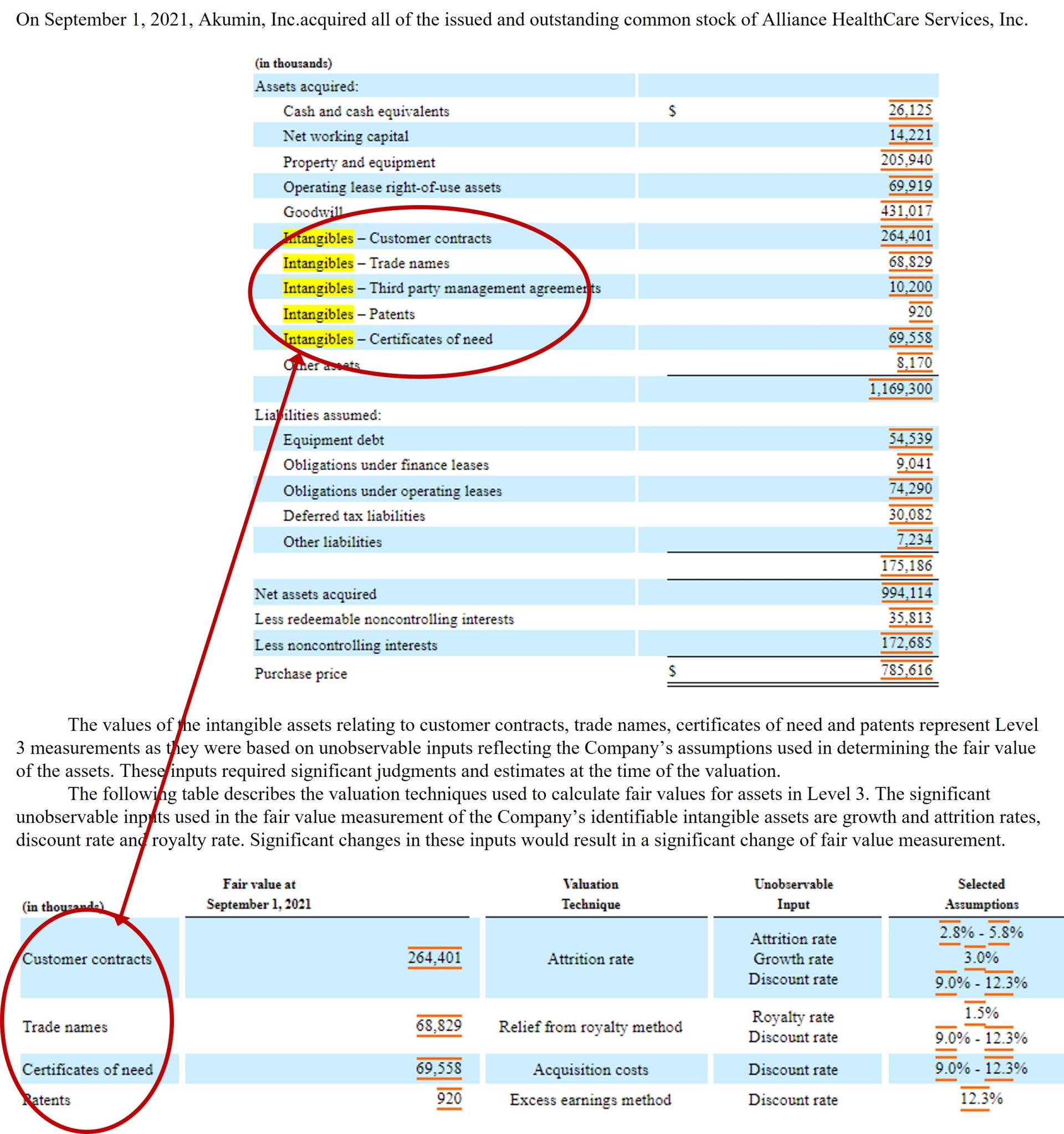 Excellent intangible asset disclosures - Markables